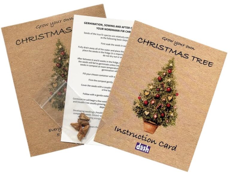 Shop - Cari’s Cards